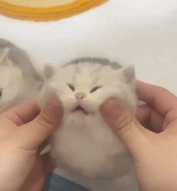 用户 - Liuser's OJ